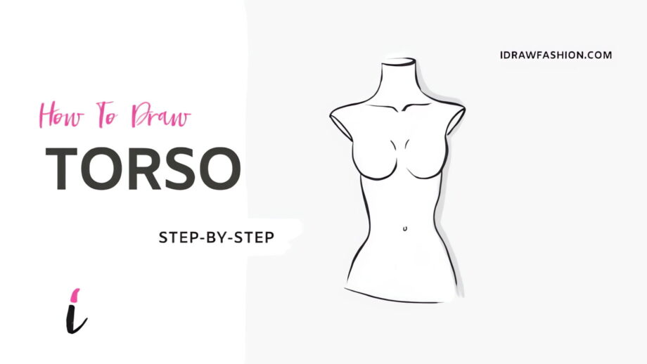 How To Draw Female Torsonull